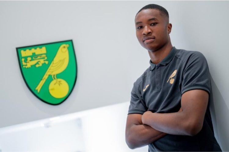 Officiel : David Aziaya quitte Norwich City | AfricaFoot